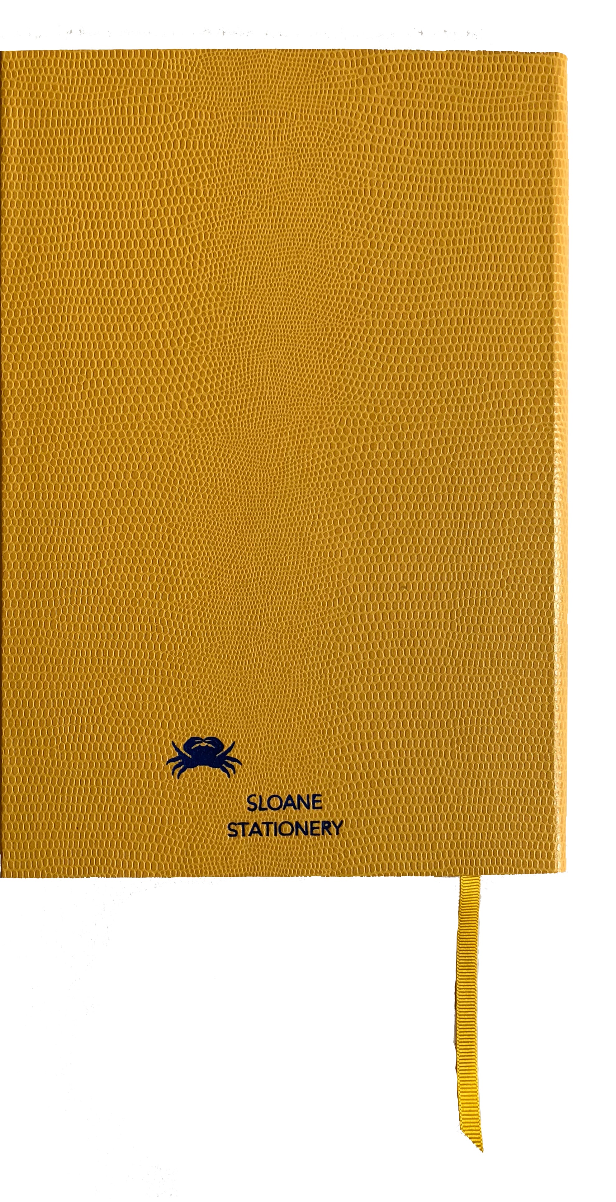 Shell Notebook - Oceans Range – Sloane Stationery